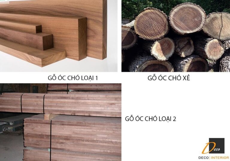 Gỗ óc chó là gì? Ưu nhược điểm ra sao? Giá bao nhiêu 1m3?